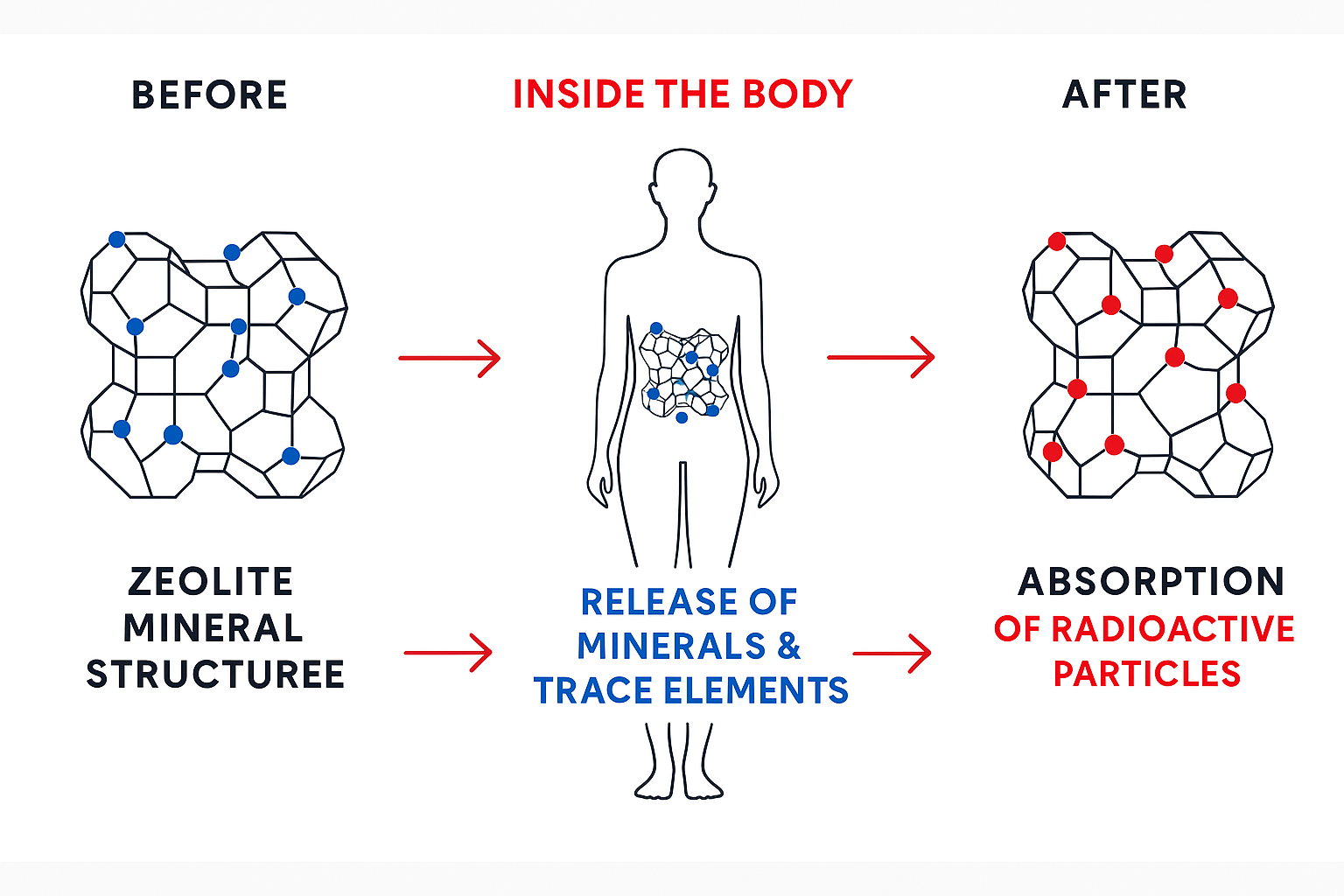 Zeolite: Nature's Secret Weapon Against Radioactive Contamination – Zeotex
